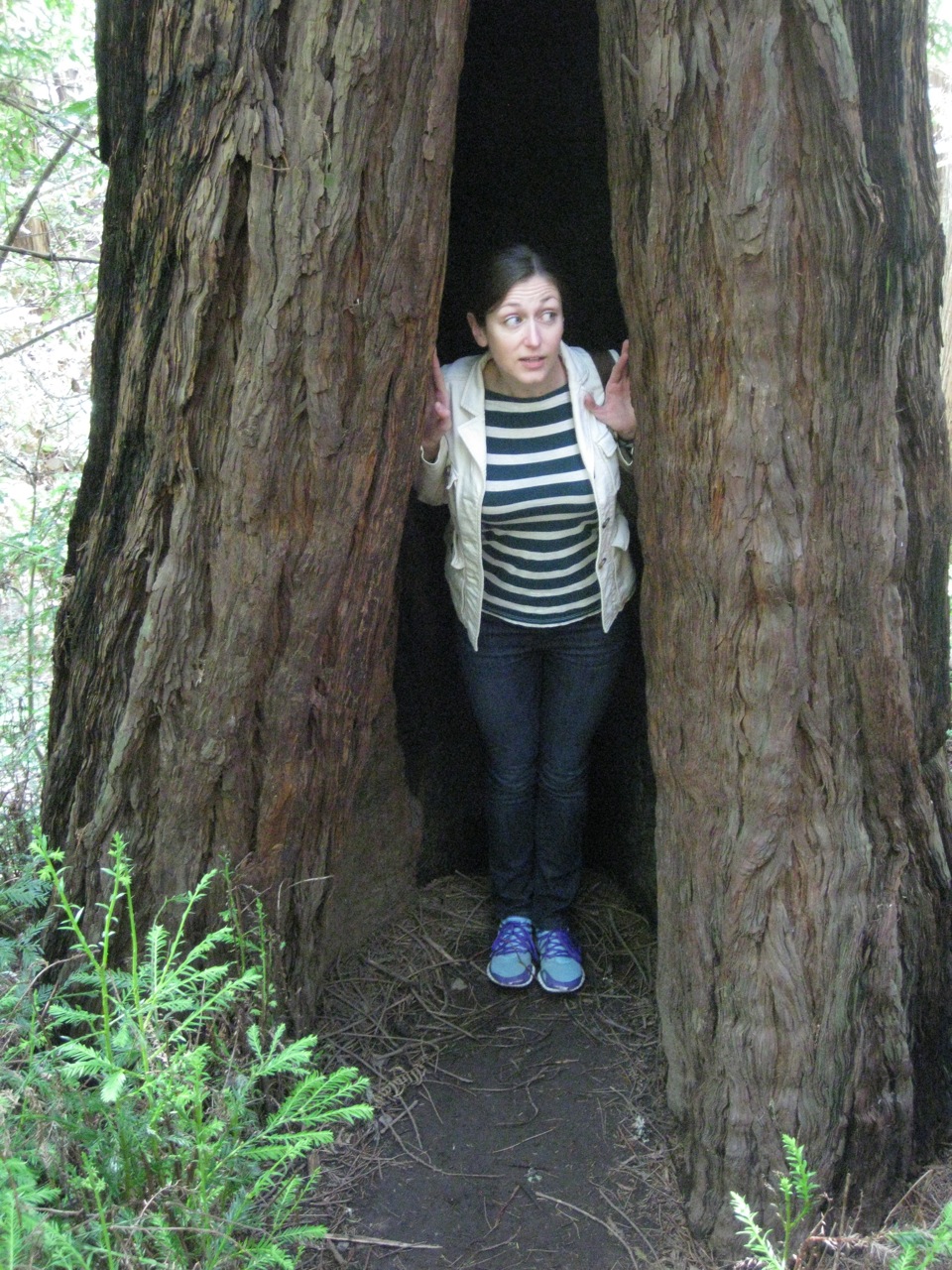 ABOUT – Elizabeth Preston